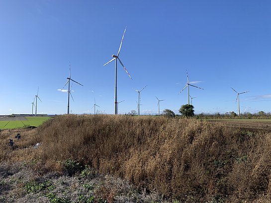 SWEB USA: Experience the future of energy - W.E.B. Windenergy